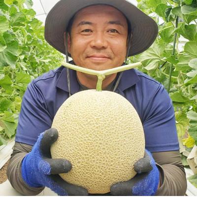 ふるさと納税 雲仙市 特撰温室アールスメロン(3Lサイズ〜4Lサイズ:1.8kg以上)1玉〈沖田農園〉 : 1504070 : Yahoo!ふるさと納税 - 通販 - Yahoo!ショッピング