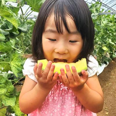 ふるさと納税 雲仙市 特撰温室アールスメロン(3Lサイズ〜4Lサイズ:1.8kg以上)1玉〈沖田農園〉 : 1504070 : Yahoo!ふるさと納税 - 通販 - Yahoo!ショッピング