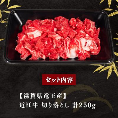 ふるさと納税 竜王町 近江牛 切り落とし 250g E501 : Yahoo!ふるさと納税 - 通販 - Yahoo!ショッピング