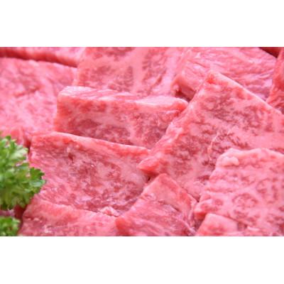 ふるさと納税 美濃加茂市 飛騨牛A5等級 焼肉用400g(モモ肉) : Yahoo!ふるさと納税 - 通販 - Yahoo!ショッピング