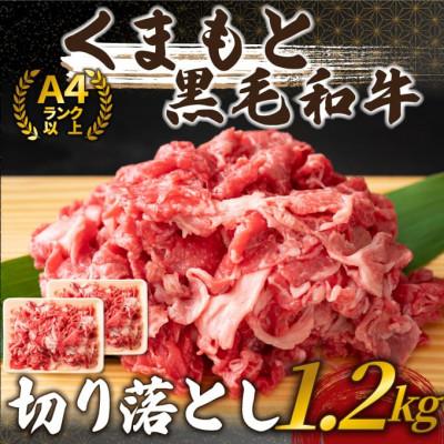 ふるさと納税 八代市 【A4〜A5】くまもと黒毛和牛切り落とし 1.2kg(600g×2p)(八代市) : 1519521 : Yahoo!ふるさと納税 - 通販 - Yahoo!ショッピング