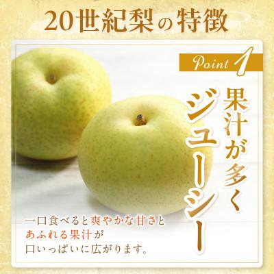 ふるさと納税 京丹後市 京丹後産 20世紀梨 5kg(12〜16玉入り)(2025年9月順次発送予定) : 1524575 : Yahoo!ふるさと納税 - 通販 - Yahoo!ショッピング