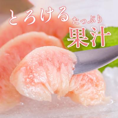 ふるさと納税 九度山町 桃先行受付! 【川中島白桃】 (大玉特秀品) 約2kg 6〜9個入 こだわり農家厳選! : Yahoo!ふるさと納税 - 通販 - Yahoo!ショッピング