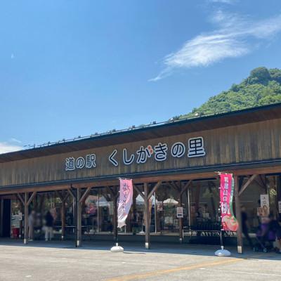 ふるさと納税 九度山町 桃先行受付! 【川中島白桃】 (大玉特秀品) 約2kg 6〜9個入 こだわり農家厳選! : Yahoo!ふるさと納税 - 通販 - Yahoo!ショッピング