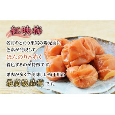 ふるさと納税 若狭町 【福井県産 紅映梅】うす塩味福梅ぼし 650g : Yahoo!ふるさと納税 - 通販 - Yahoo!ショッピング