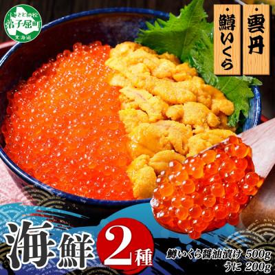 ふるさと納税 弟子屈町 【無地熨斗】2種海鮮丼 鱒いくら醤油漬け100g×5個 ウニ100g×2個 北海道弟子屈町 3402 : Yahoo!ふるさと納税 - 通販 - Yahoo!ショッピング