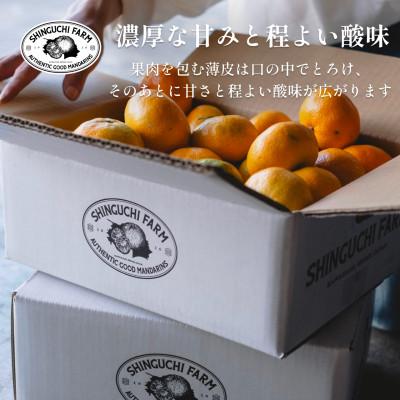 ふるさと納税 八幡浜市 愛媛みかんの老舗厳選【愛媛県川上産 みかん3kg×2箱】新口農園【C70-32】 : 1536240 : Yahoo!ふるさと納税 - 通販 - Yahoo!ショッピング