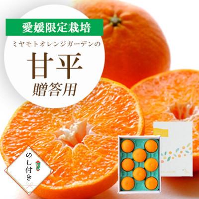 ふるさと納税 八幡浜市 【2026年2月より順次発送】愛媛限定栽培柑橘 甘平(かんぺい) 贈答用 のし付き【E25-169】 : Yahoo!ふるさと納税 - 通販 - Yahoo!ショッピング