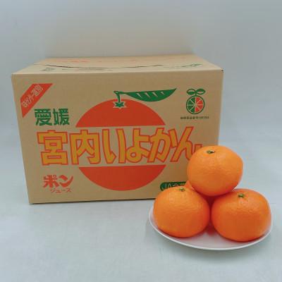 ふるさと納税 伊予市 伊予柑 10kg L〜2Lサイズ : 1545776 : Yahoo!ふるさと納税 - 通販 - Yahoo!ショッピング