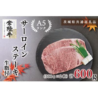 ふるさと納税 鹿嶋市 【常陸牛A5ランク 】サーロインステーキ 約600g (約300g×2枚) : Yahoo!ふるさと納税 - 通販 - Yahoo!ショッピング