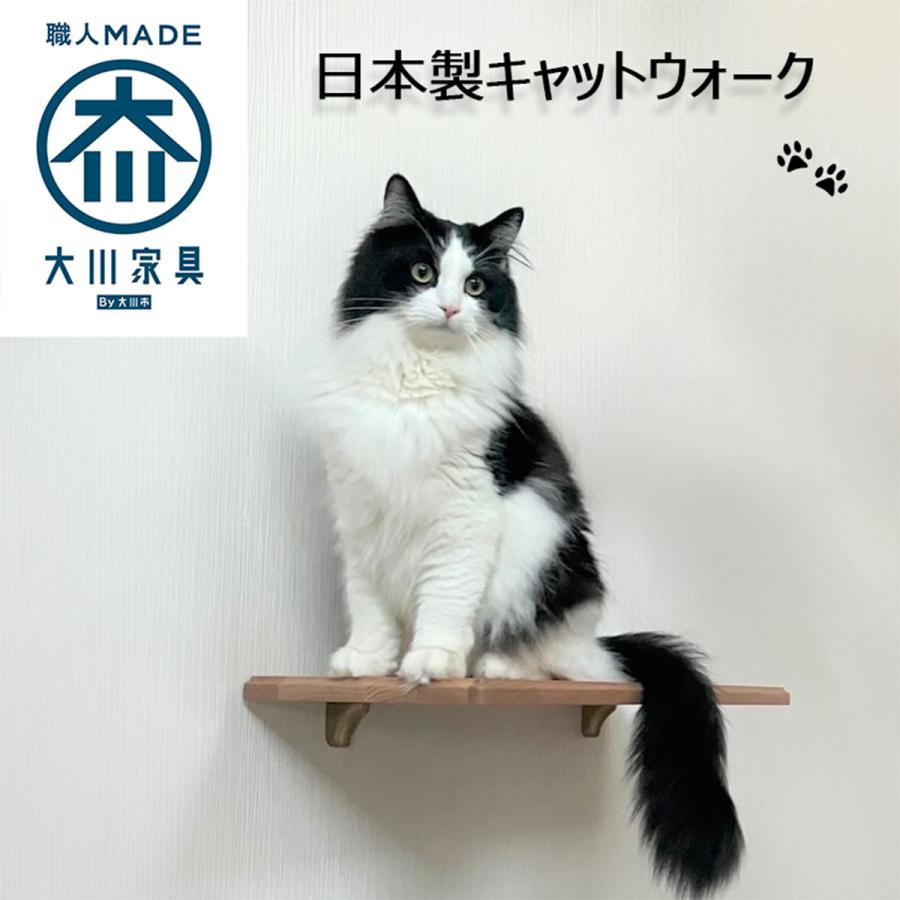 ふるさと納税 大川市 日本製キャットウォーク1個 NA色 CT-WK : Yahoo!ふるさと納税 - 通販 - Yahoo!ショッピング