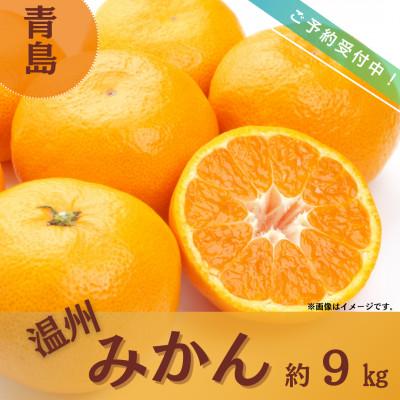 ふるさと納税 川棚町 【先行予約】長崎県産 温州みかん(青島)(約9kg)【Mt.Gファーム】 : 1560802 : Yahoo!ふるさと納税 - 通販 - Yahoo!ショッピング