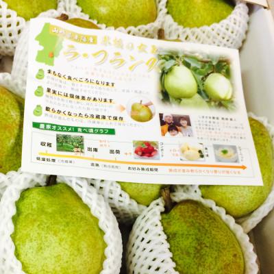 ふるさと納税 南陽市 山形県産 大玉ラ・フランス 4L〜6L 5kg(12〜16玉)【ネオニコフリー】【S2280】 : 1572639 : Yahoo!ふるさと納税 - 通販 - Yahoo ...