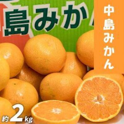 ふるさと納税 松山市 愛媛県産 中島みかん 2S〜2L 家庭用 約2kg : 1576880 : Yahoo!ふるさと納税 - 通販 - Yahoo!ショッピング