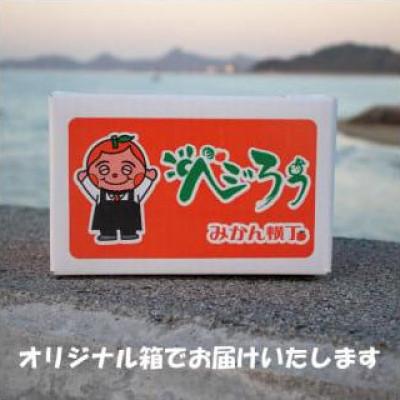 ふるさと納税 松山市 愛媛県産 中島みかん 2S〜2L 家庭用 約2kg : 1576880 : Yahoo!ふるさと納税 - 通販 - Yahoo!ショッピング