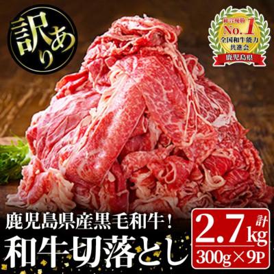 ふるさと納税 鹿屋市 訳あり 鹿児島県産 黒毛和牛 切り落とし(300g×9P)【ことぶき精肉店】2437 : 1577817 : Yahoo!ふるさと納税 - 通販 - Yahoo!ショッピング