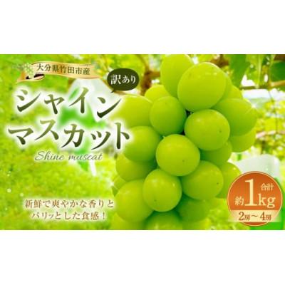 ふるさと納税 竹田市 【2025年度先行予約】規格外 訳あり シャインマスカット 1kg(2〜4房) : 1583500 : Yahoo!ふるさと納税 - 通販 - Yahoo!ショッピング