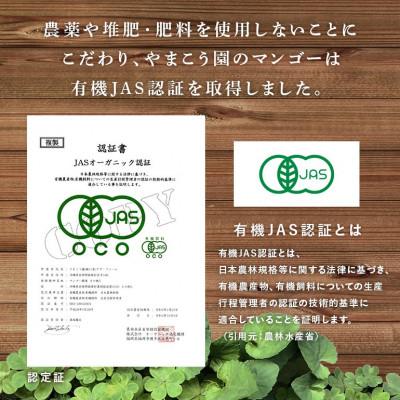 ふるさと納税 国頭村 【有機JAS認証】オーガニックマンゴー1kg(2〜3玉) : Yahoo!ふるさと納税 - 通販 - Yahoo!ショッピング