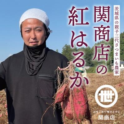 ふるさと納税 小美玉市 関商店 干し芋平干し 紅はるか 880g(220g×4袋)62-E : 1592153 : Yahoo!ふるさと納税 - 通販 - Yahoo!ショッピング