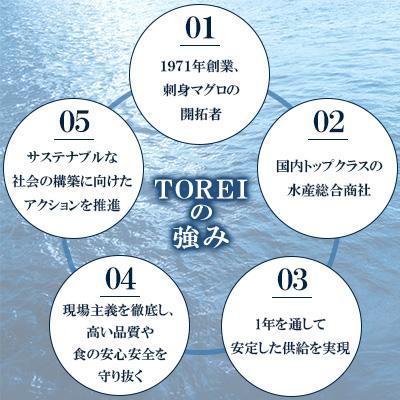 ふるさと納税 篠栗町 【ふるさと納税限定】ねぎとろ まぐろたたき 100g×13P : Yahoo!ふるさと納税 - 通販 - Yahoo!ショッピング