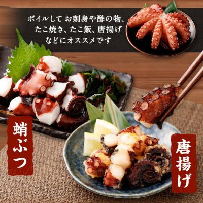 ふるさと納税 阪南市 【2026年1月31日より順次発送】大阪産「泉タコ(生たこ)」650g(1杯〜3杯) : Yahoo!ふるさと納税 - 通販 - Yahoo!ショッピング