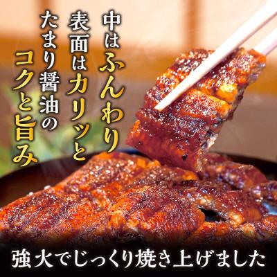 ふるさと納税 西尾市 三河一色産うなぎ蒲焼 大サイズ3尾 無頭(1尾約155g)・M116 : Yahoo!ふるさと納税 - 通販 - Yahoo!ショッピング