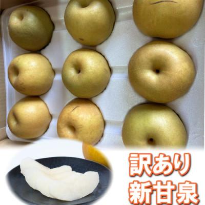 ふるさと納税 北栄町 【訳あり】新甘泉 3kg : Yahoo!ふるさと納税 - 通販 - Yahoo!ショッピング