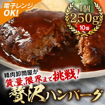 ふるさと納税 西尾市 お肉の定期便(ハンバーグ、焼豚)・T124 : Yahoo!ふるさと納税 - 通販 - Yahoo!ショッピング
