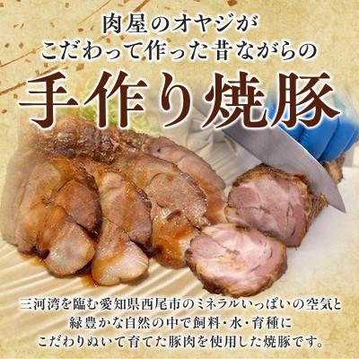 ふるさと納税 西尾市 お肉の定期便(ハンバーグ、焼豚)・T124 : Yahoo!ふるさと納税 - 通販 - Yahoo!ショッピング