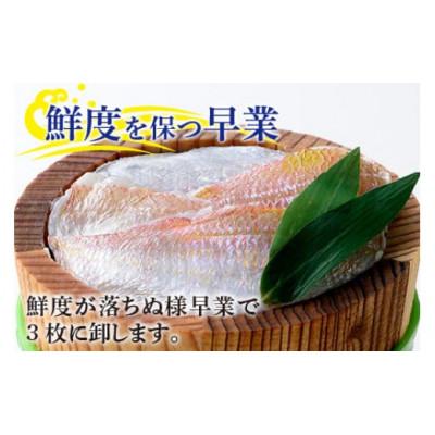 ふるさと納税 小浜市 小鯛ささ漬 中樽 130g×2樽 計260g : Yahoo!ふるさと納税 - 通販 - Yahoo!ショッピング