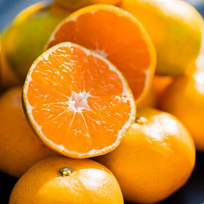 ふるさと納税 湯浅町 和歌山産有田みかん家庭用 1kg サイズ混合2S〜2L : Yahoo!ふるさと納税 - 通販 - Yahoo!ショッピング