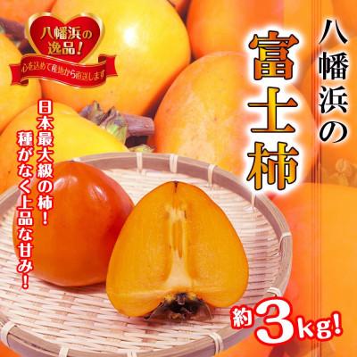ふるさと納税 八幡浜市 甘さにニッコリ!日本最大級の柿「富士柿」約3キロ【C39-72】 : Yahoo!ふるさと納税 - 通販 - Yahoo!ショッピング