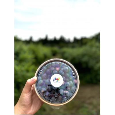 ふるさと納税 常陸大宮市 完熟、濃厚生ブルーベリー 200g : Yahoo!ふるさと納税 - 通販 - Yahoo!ショッピング