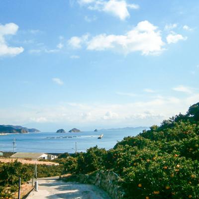 ふるさと納税 松山市 【2025年11月〜12月頃から発送予定】紅まどんな(JA正規化粧箱入り)[秀品限定] 約3kg : Yahoo!ふるさと納税 - 通販 - Yahoo!ショッピング