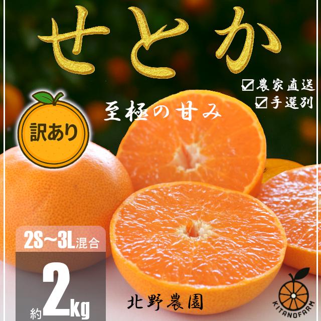 ふるさと納税 湯浅町 【先行受付】訳あり せとか 和歌山 有田 2S〜3Lサイズ混合 約2kg : Yahoo!ふるさと納税 - 通販 - Yahoo!ショッピング