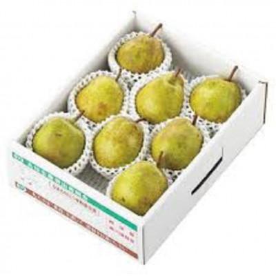 ふるさと納税 中山町 令和8年産先行受付 中山町産芳醇「ラ・フランス」約2kg(5〜8玉) 特秀品 : Yahoo!ふるさと納税 - 通販 - Yahoo!ショッピング