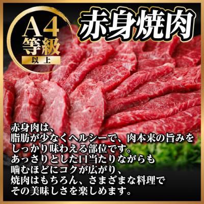 ふるさと納税 羽島市 飛騨牛 赤身(焼肉・BBQ用) 約800g【冷蔵便】A4〜A5等級 黒毛和牛 : Yahoo!ふるさと納税 - 通販 - Yahoo!ショッピング