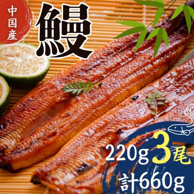 ふるさと納税 吉野ヶ里町 うなぎ蒲焼220g×3尾 : Yahoo!ふるさと納税 - 通販 - Yahoo!ショッピング