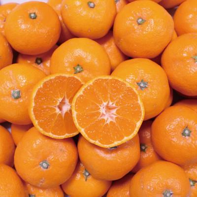 ふるさと納税 北山村 こだわりの和歌山県産 有田みかん 5kg S〜Lサイズおまかせ ひとつひとつ手選別【hdm005】 : Yahoo!ふるさと納税 - 通販 - Yahoo!ショッピング