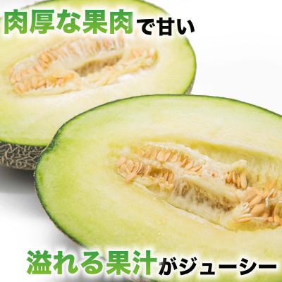ふるさと納税 菊池市 肥後グリーンメロン 4L以上 1玉(合計2kg以上)(菊池市) : Yahoo!ふるさと納税 - 通販 - Yahoo!ショッピング