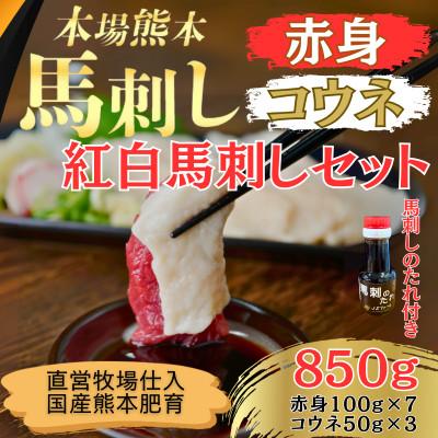 ふるさと納税 和水町 本場熊本の鮮馬刺し 国産 馬肉 熊本 肥育 赤身 コウネ 馬刺 醤油付き 小分け 850g(和水町) : Yahoo ...