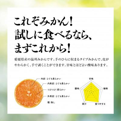 ふるさと納税 八幡浜市 天空の果樹園から届くそらみかん (3kg)【訳あり】【A95-6】 : Yahoo!ふるさと納税 - 通販 - Yahoo!ショッピング