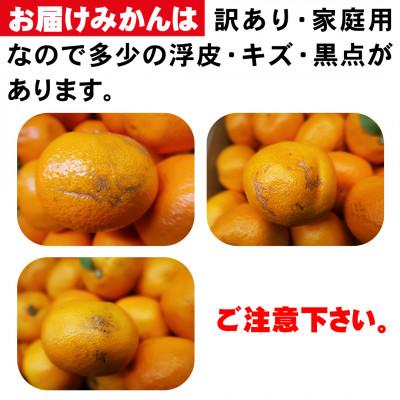 ふるさと納税 八幡浜市 【訳あり】西宇和みかん小玉5kg(小玉3S〜Sサイズ込み)【C21-46】 : Yahoo!ふるさと納税 - 通販 - Yahoo!ショッピング