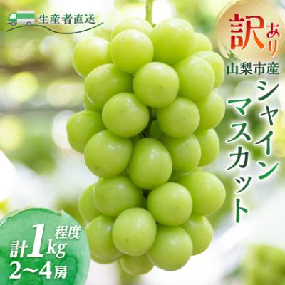 ふるさと納税 山梨市 【2026年先行受付】訳あり!生産者直送シャインマスカット 計1kg【味には妥協なし!】 : Yahoo!ふるさと納税 ...
