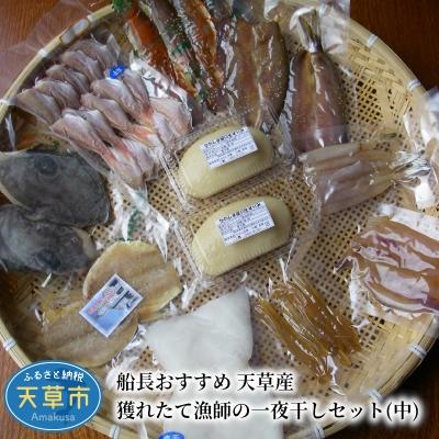 ふるさと納税 天草市 船長おすすめ 天草産 獲れたて漁師の一夜干しセット(中)_S072-005A : 3012817 : Yahoo!ふるさと納税 - 通販 - Yahoo!ショッピング