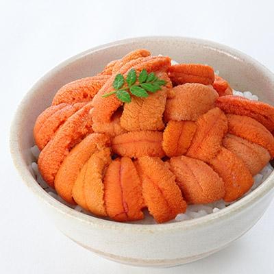 ふるさと納税 根室市 エゾバフンウニ塩水パック60〜70g×2P[2025年2月中旬以降発送] A-24016 : 3028304 : Yahoo!ふるさと納税 - 通販 - Yahoo!ショッピング