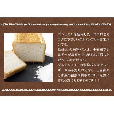 ふるさと納税 碧南市 グルテンフリー 米粉食パン 窯出しコシヒカリ 2本 H083-017 : Yahoo!ふるさと納税 - 通販 - Yahoo!ショッピング
