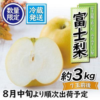 ふるさと納税 富士市 富士梨3kg 数量限定 希少(a1016) : Yahoo!ふるさと納税 - 通販 - Yahoo!ショッピング