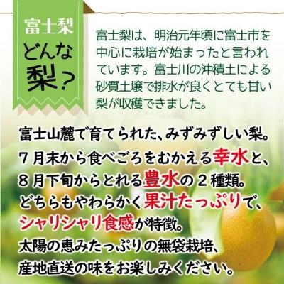 ふるさと納税 富士市 富士梨3kg 数量限定 希少(a1016) : Yahoo!ふるさと納税 - 通販 - Yahoo!ショッピング