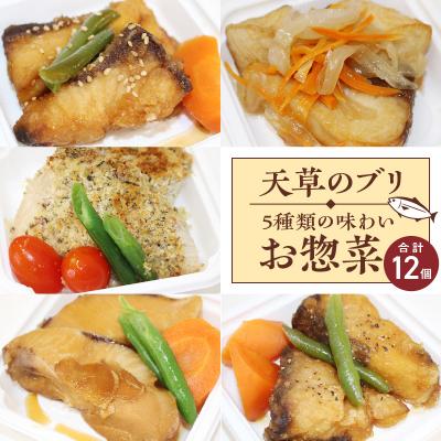 ふるさと納税 天草市 ブリの惣菜5種類12食セット_S010-064 : Yahoo!ふるさと納税 - 通販 - Yahoo!ショッピング